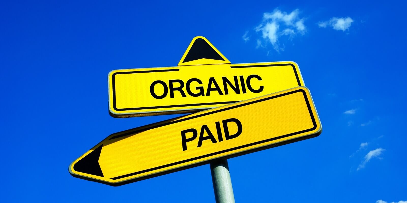 How Does Paid Search Impact Organic SEO? | 321 Web Marketing